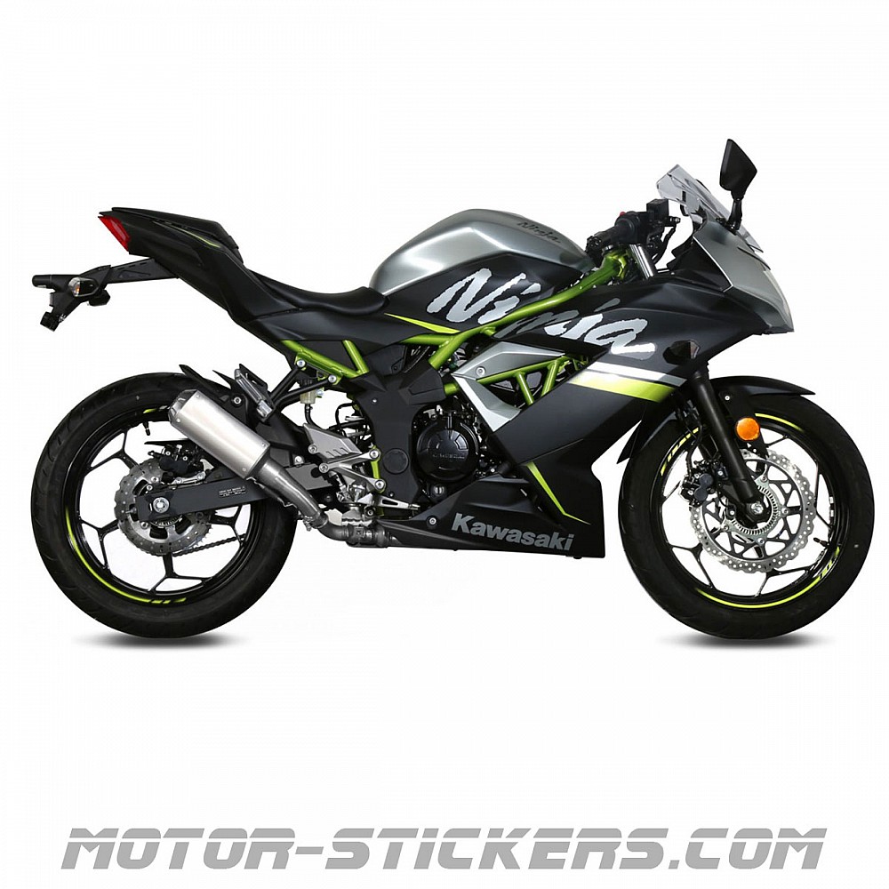 Kawasaki Ninja 125 2019 decals