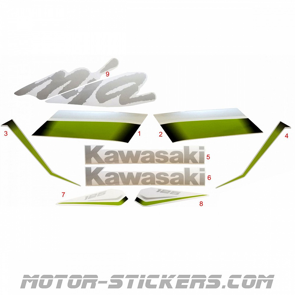 Kawasaki Ninja 125 2019 decals