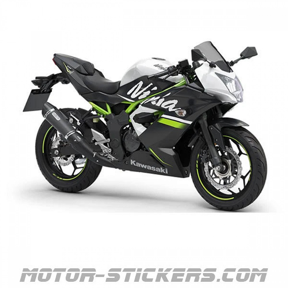 Kawasaki Ninja 125 2020 stickers