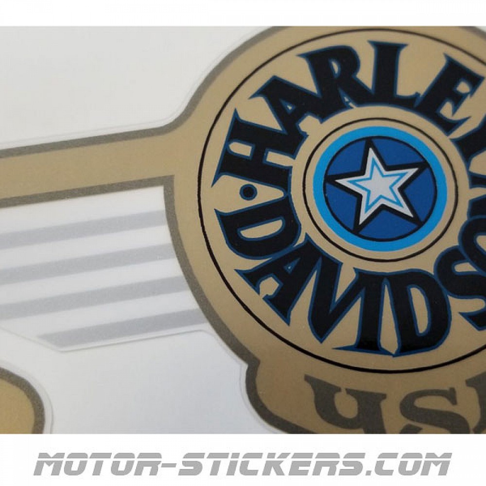 Harley Davidson Fat Boy 2004 decals