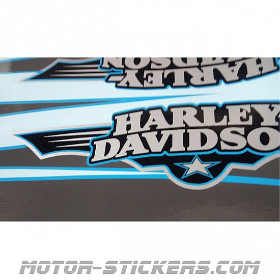 Harley Davidson Fat Boy '09-2010 decals