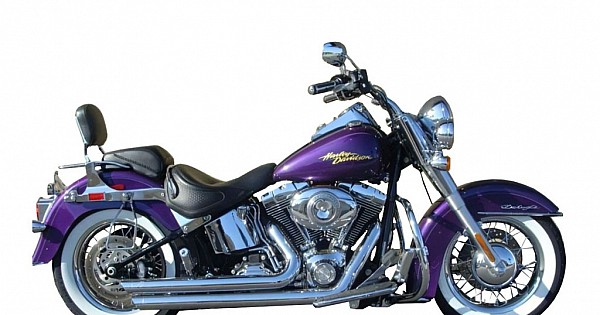 Harley Davidson Softail Deluxe 2008 decals