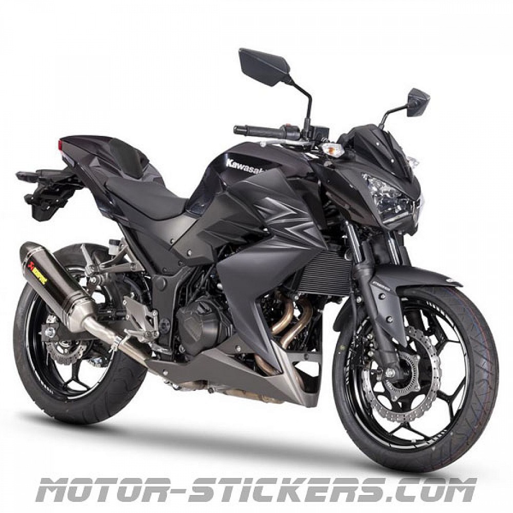 Kawasaki Z300 '15-2018 decals | Quality decals & graphics