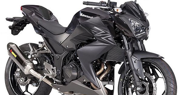 Kawasaki Z300 '15-2018 decals