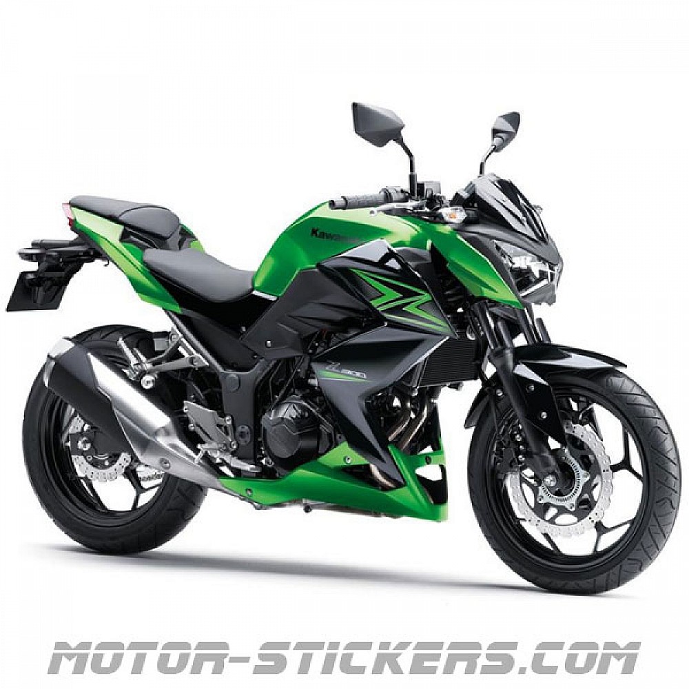 Kawasaki Z300 2015 decals