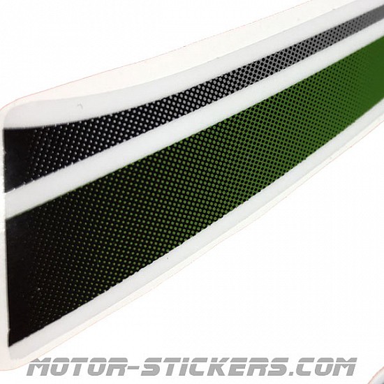 Kawasaki Z300 2015 decals