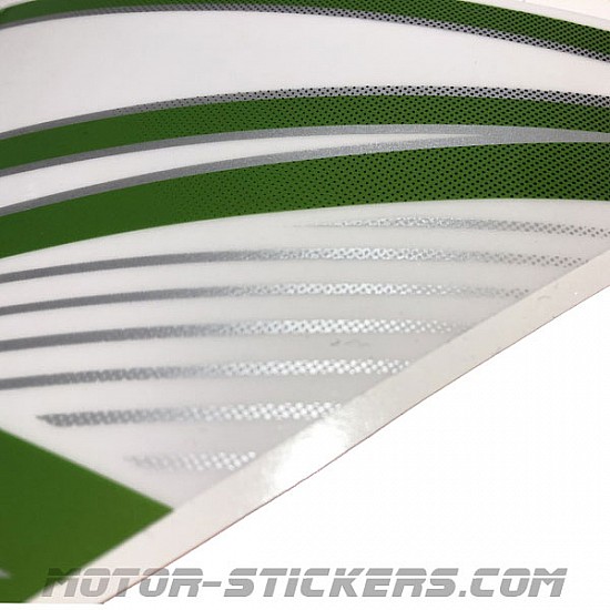 Kawasaki Z300 2015 decals
