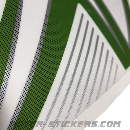 Kawasaki Z300 2015 decals