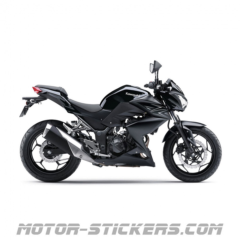 Kawasaki Z300 2016 decals