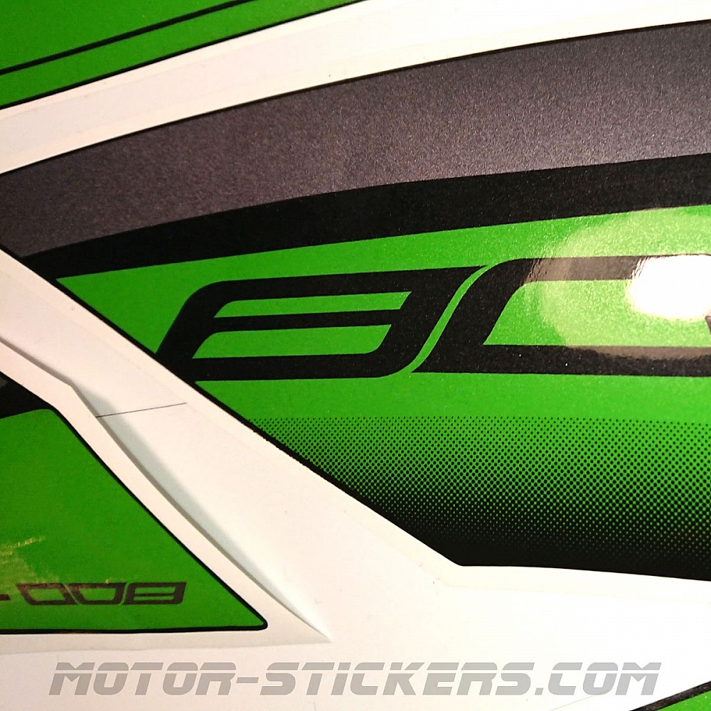 Kawasaki Z800 E Version 2016 decals