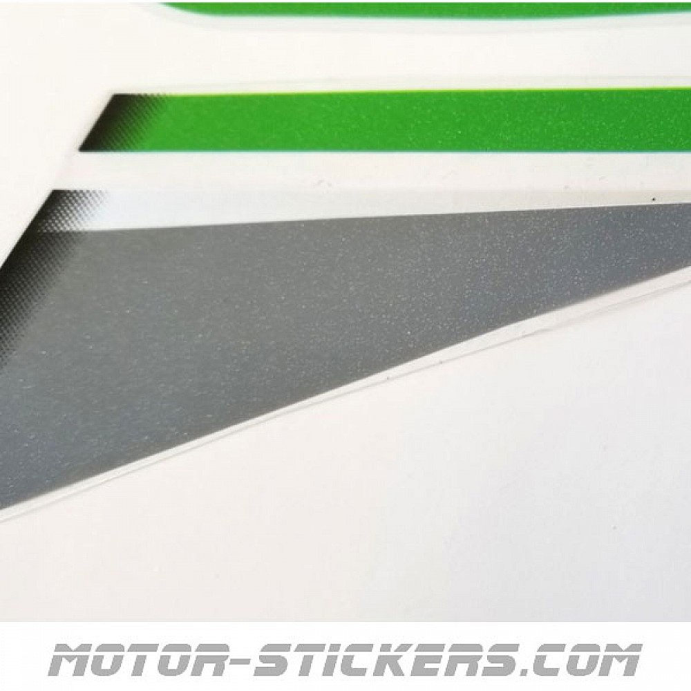 Kawasaki Z900 '17-2019 decals