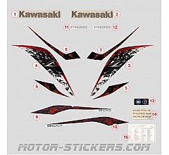 Kawasaki Z900 2019 decals