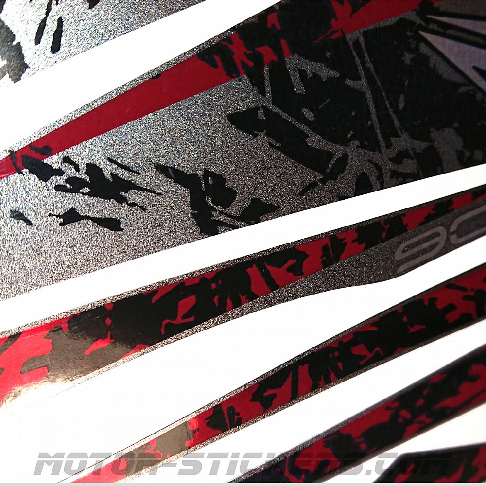 Kawasaki Z900 2019 decals