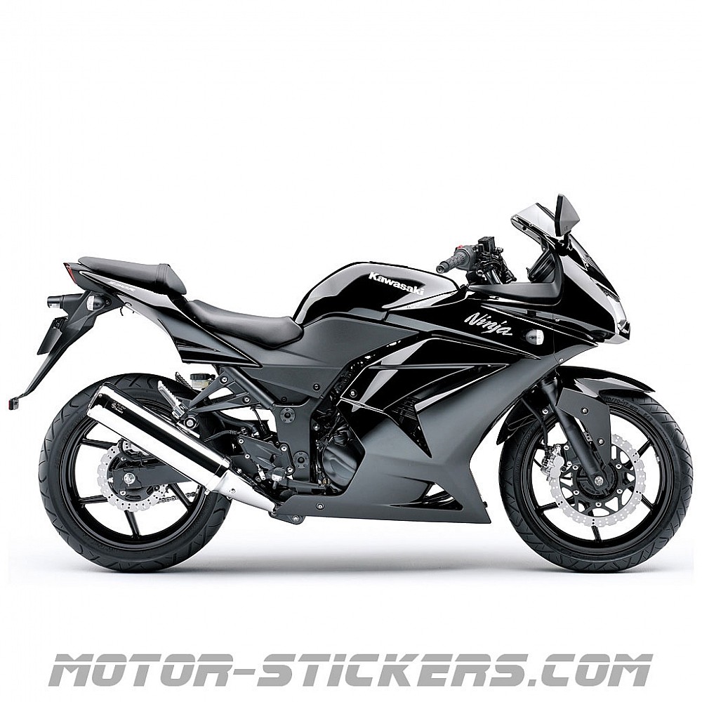 Kawasaki Ninja 250R 2009 decals