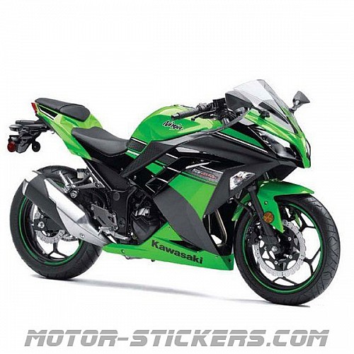 Kawasaki Ninja 300R decals