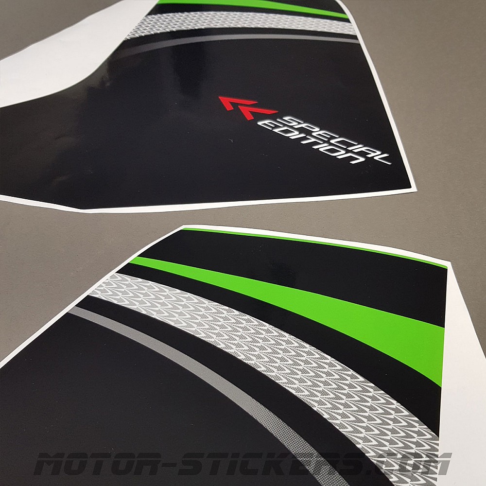 Kawasaki Ninja 300 2014 decals