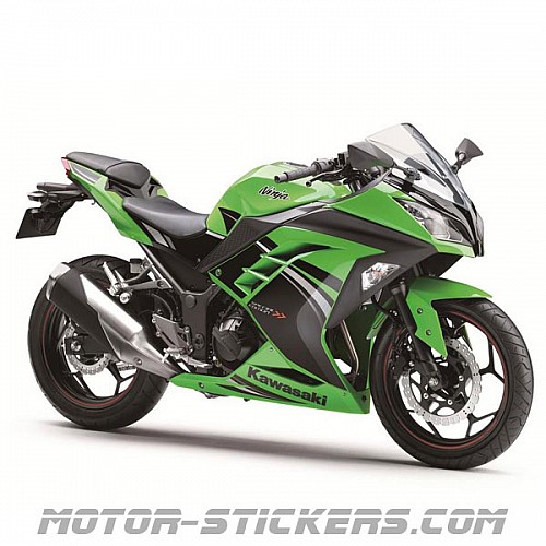 Kawasaki Ninja 300R decals
