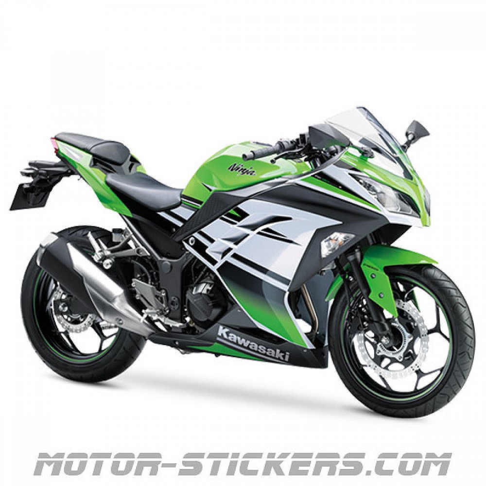 Kawasaki Ninja 300 2015 decals