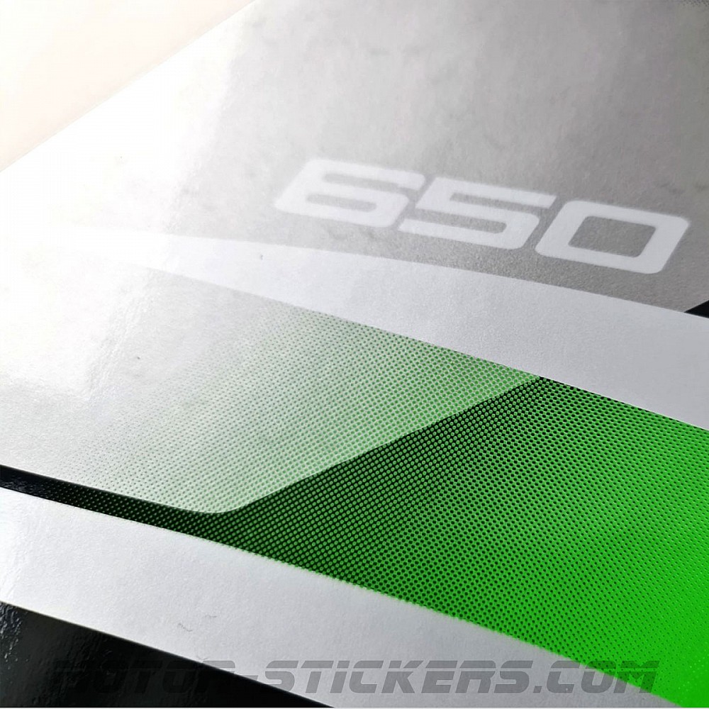 Kawasaki Ninja 650 2019 decals