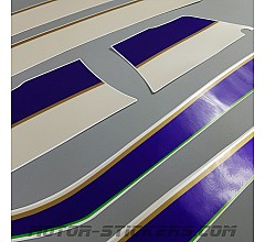 Kawasaki ZRX 1100 1999 decals