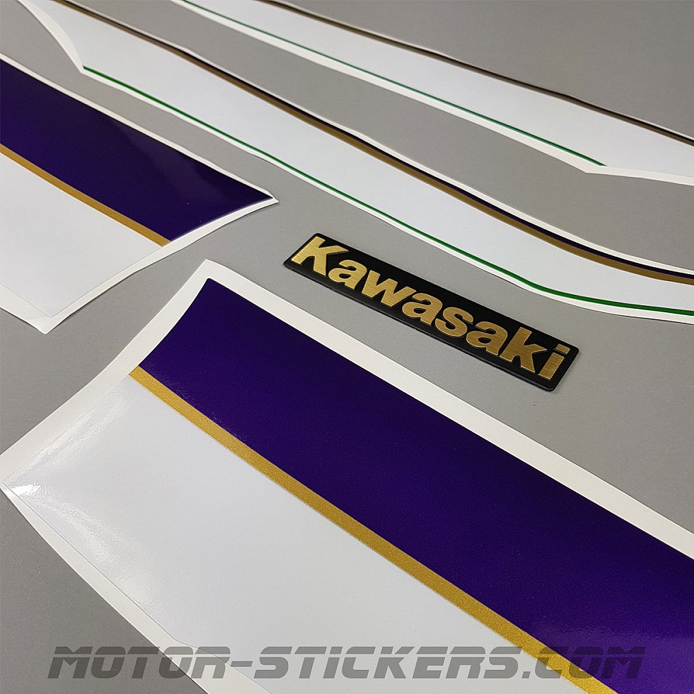 Kawasaki ZRX 1100 2000 decals