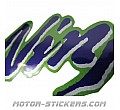 Kawasaki ZX-12R 2001 decals