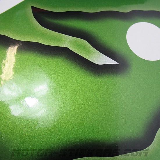 Kawasaki ZX-12R 2001 decals