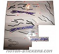 Kawasaki ZX-12R 2001 decals