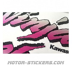 Kawasaki ZX-9R 1995 decals