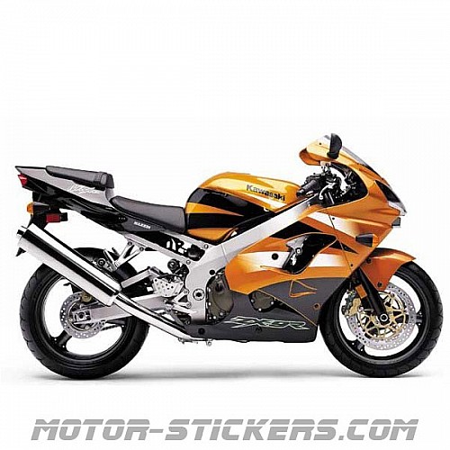 ZX9R 2002 decals