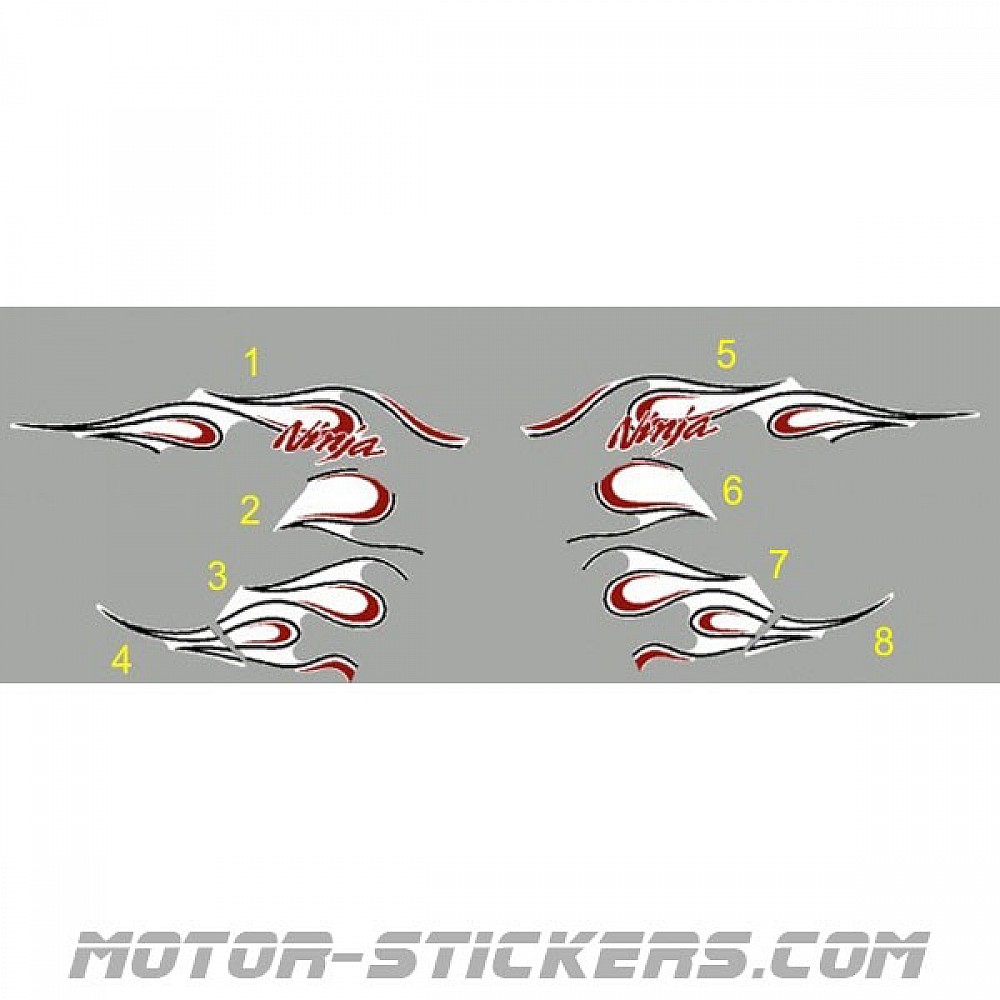 Kawasaki ZZR 1400 (ZX-14) '07-2009 decals