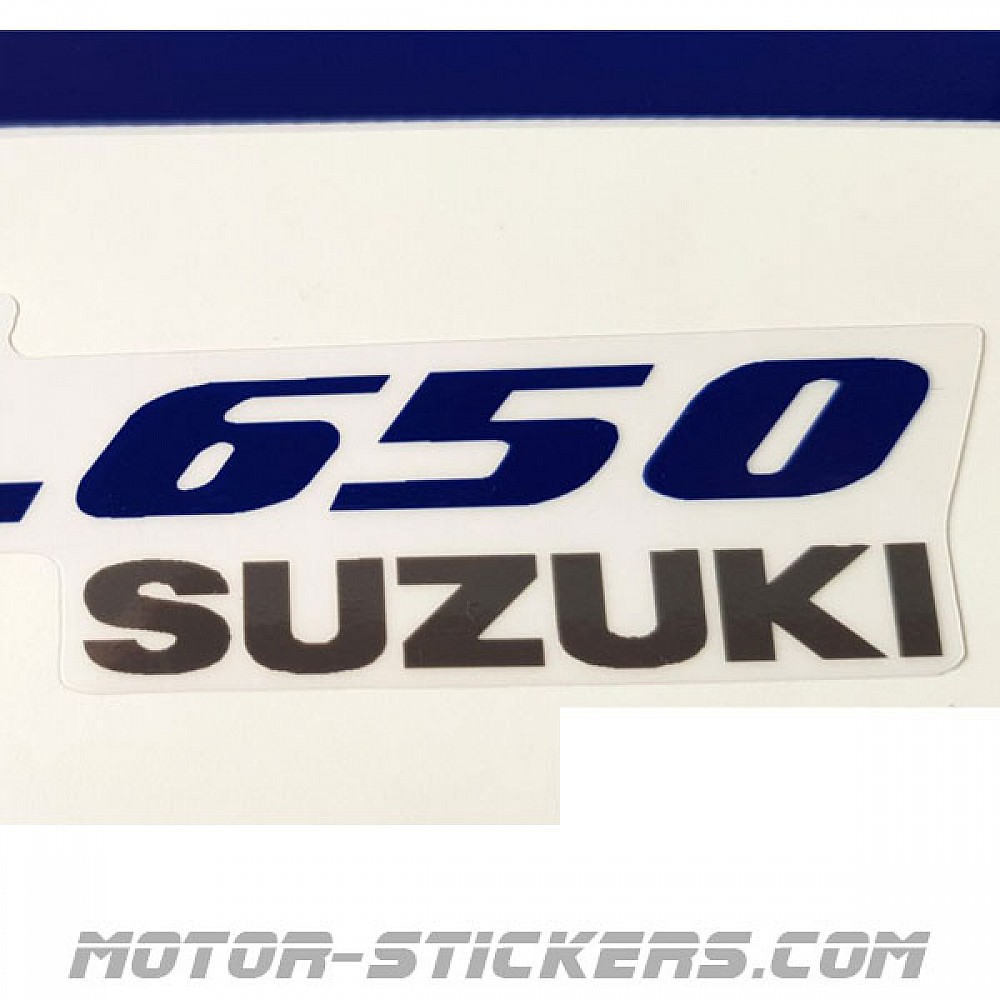 Suzuki DL 650 V-Strom 2006 decals