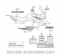 Suzuki DL 650 V-Strom 2010 decals