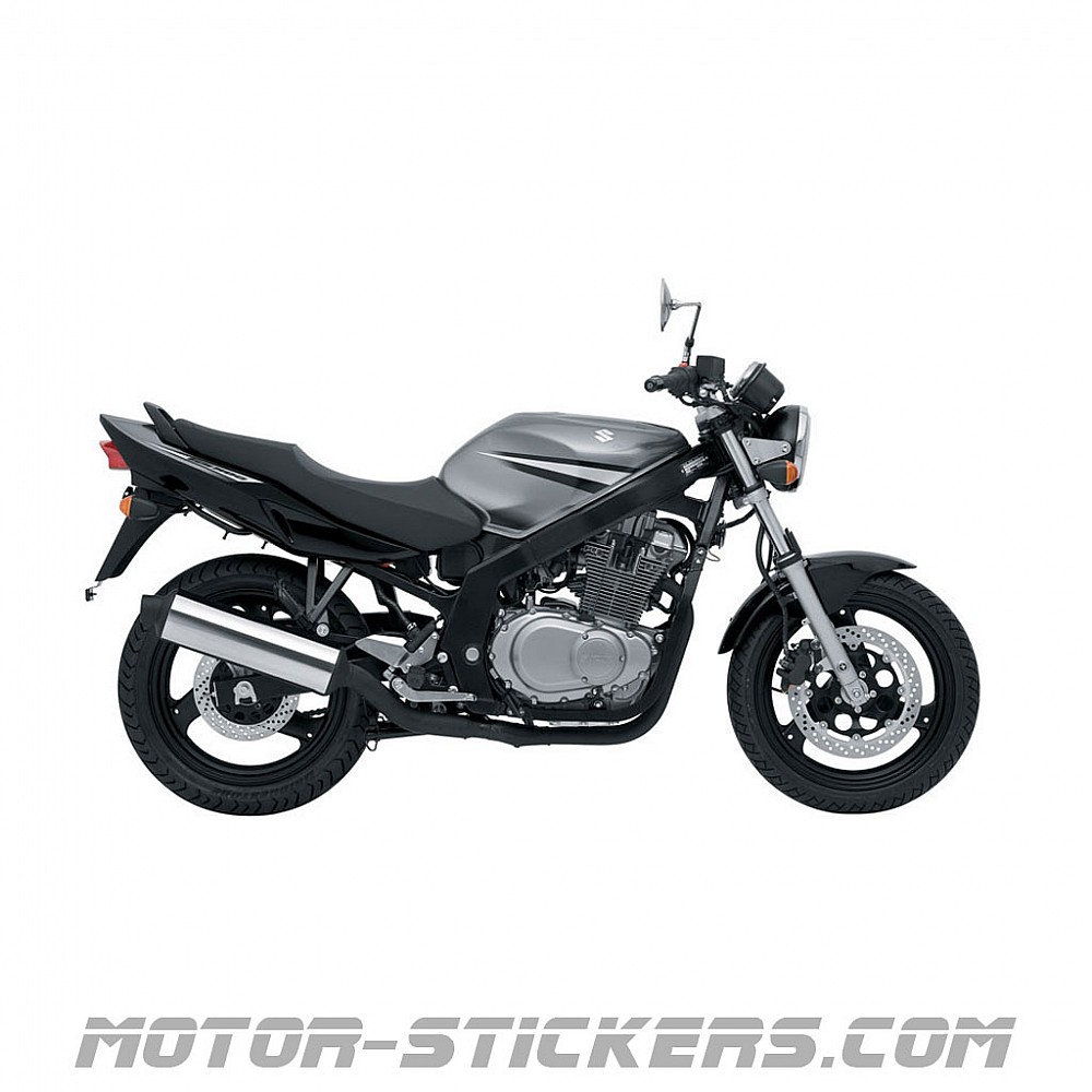 Suzuki GS 500E 2007 decals