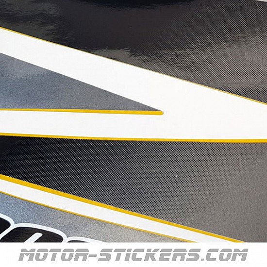 Suzuki GS 500F 2004 decals