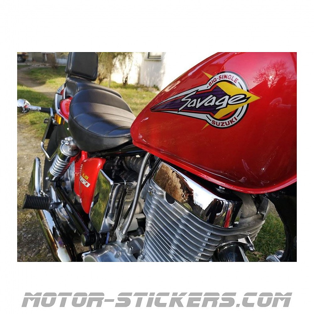 Suzuki LS 650 Savage 1996-1999 decals