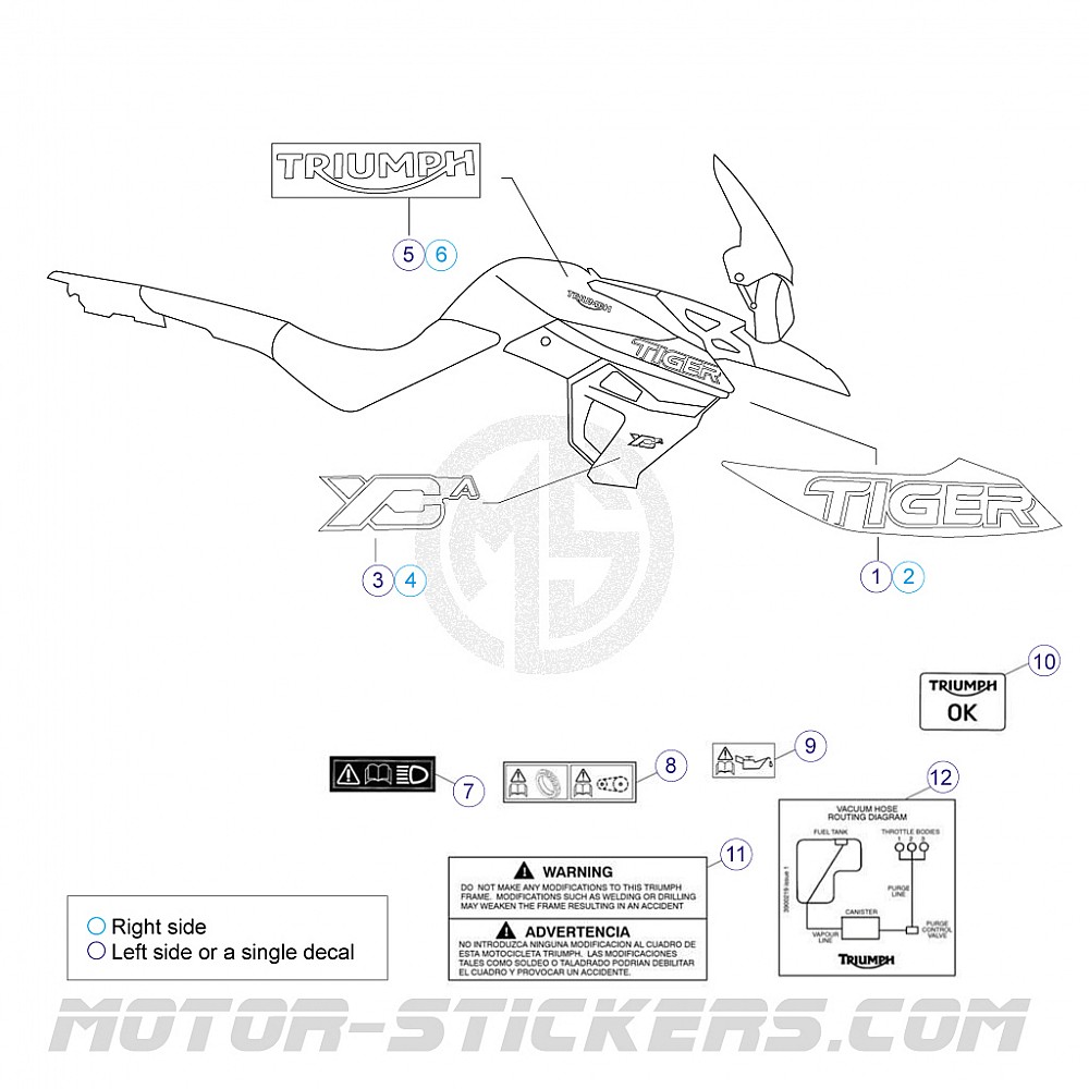 Triumph Tiger 800XCa 2019 decals