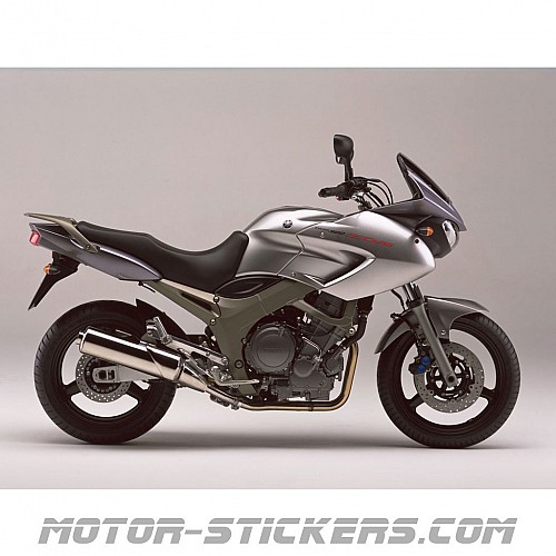 Yamaha TDM 900 decals