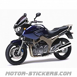 Yamaha TDM 900 decals