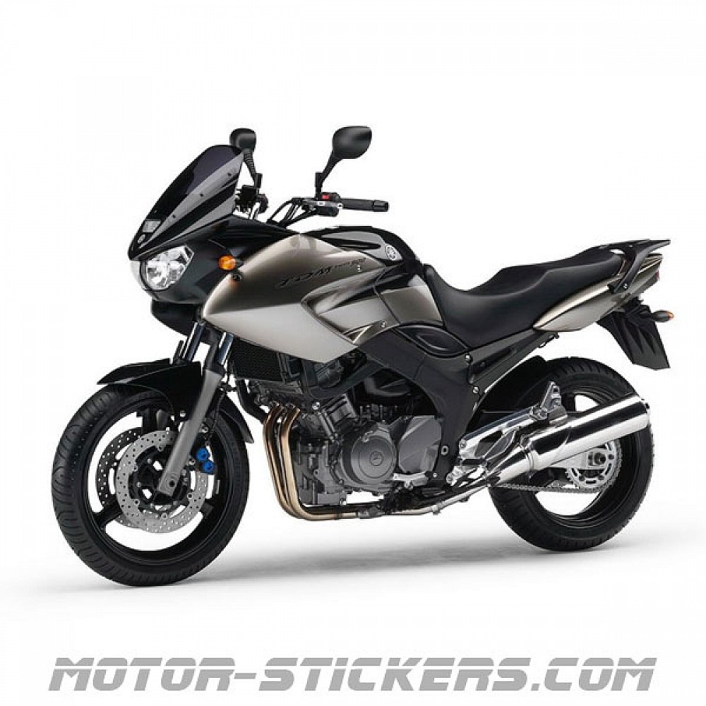 Yamaha TDM 900 2005 naklejki