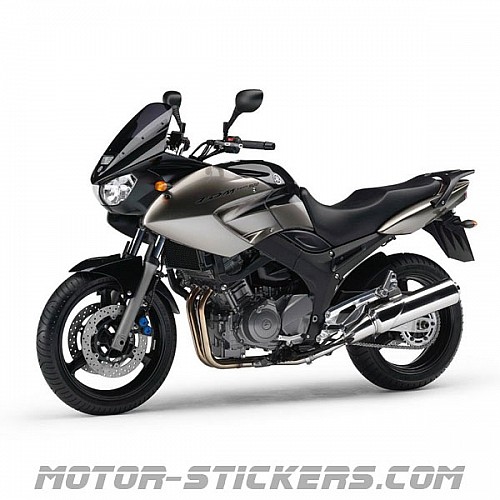 Yamaha TDM 900 decals