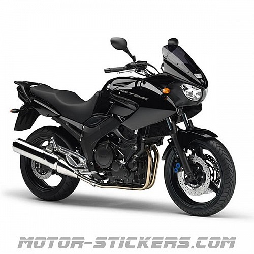 Yamaha TDM 900 2008 decals