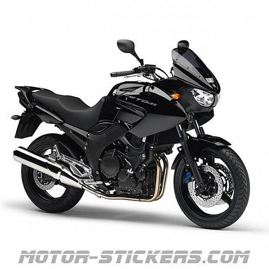 Yamaha TDM 900 06-2008 decals