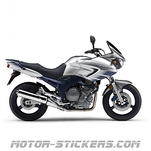 Yamaha TDM 900 2008 decals