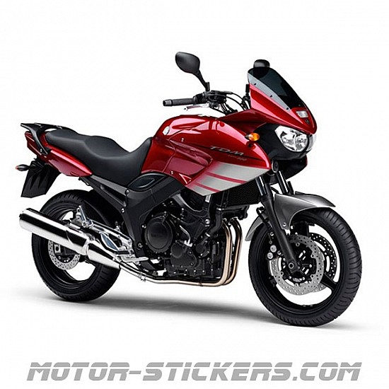 Yamaha TDM 900 2008 decals