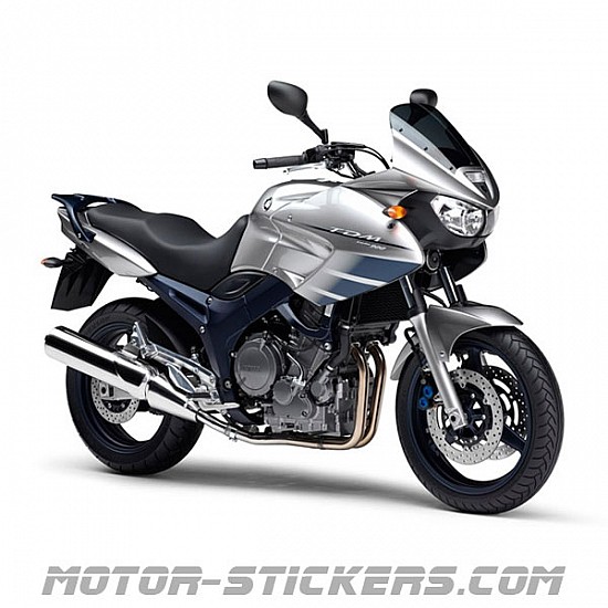 Yamaha TDM 900 2008 decals
