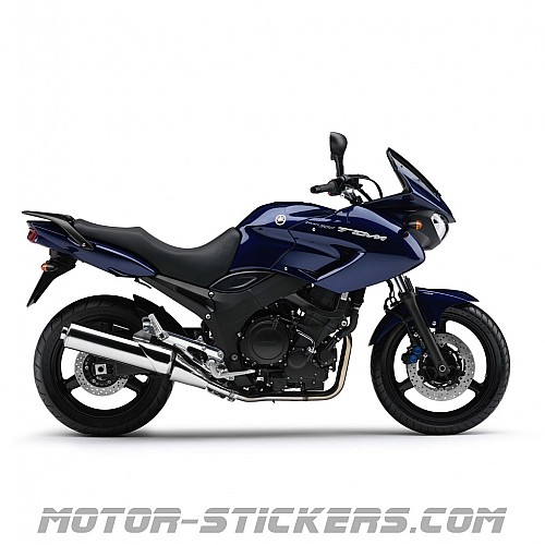 Yamaha TDM 900 2009 decals