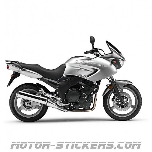 Yamaha TDM 900 2009 decals
