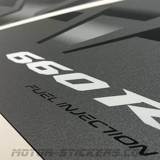 Yamaha XT 660R 2008 decals